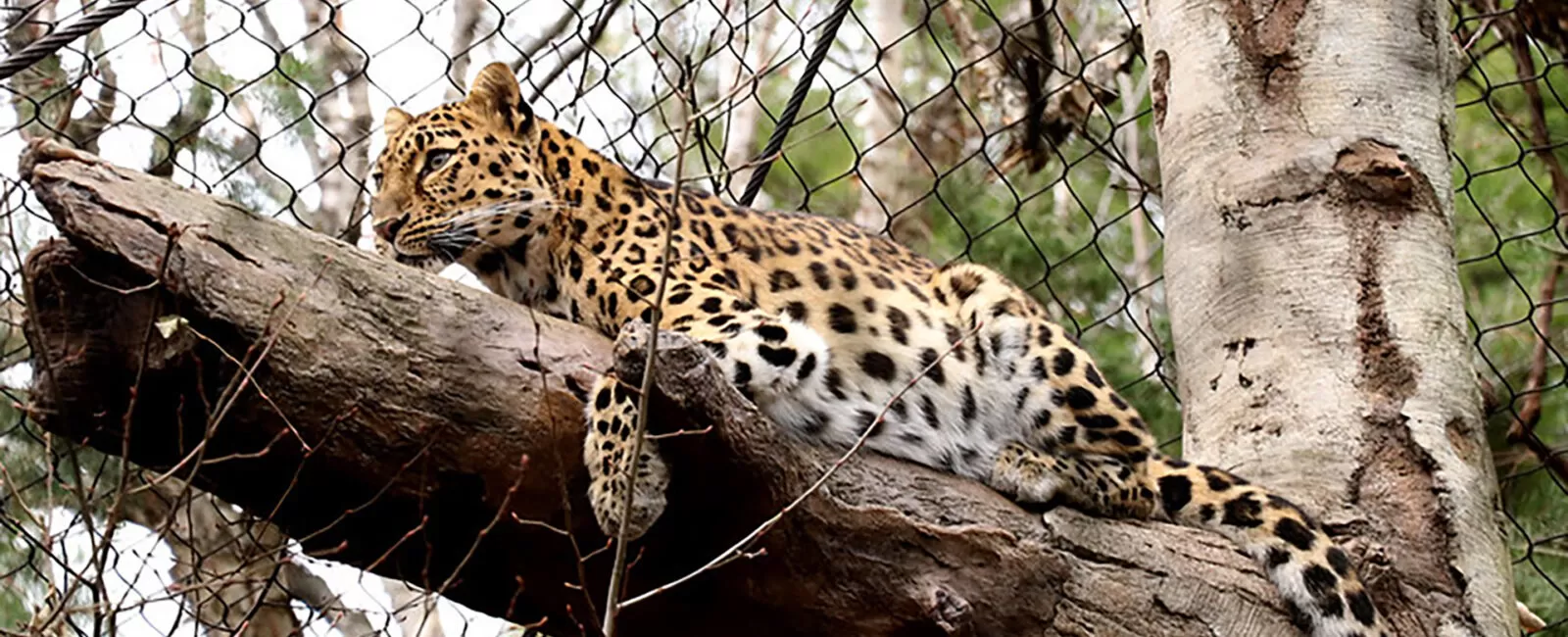 Minnesota Zoo | Discover Shakopee