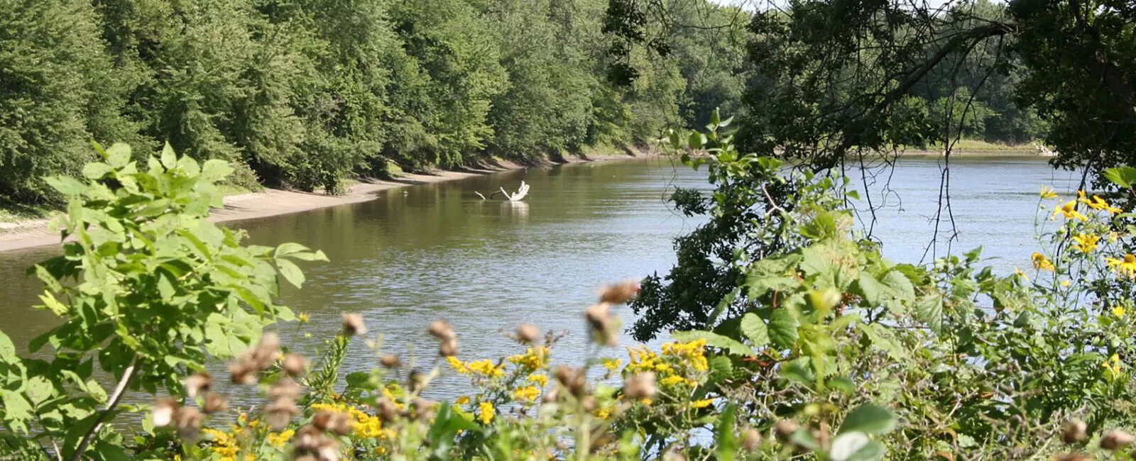 Minnesota Valley Wildlife Refuge | Discover Shakopee